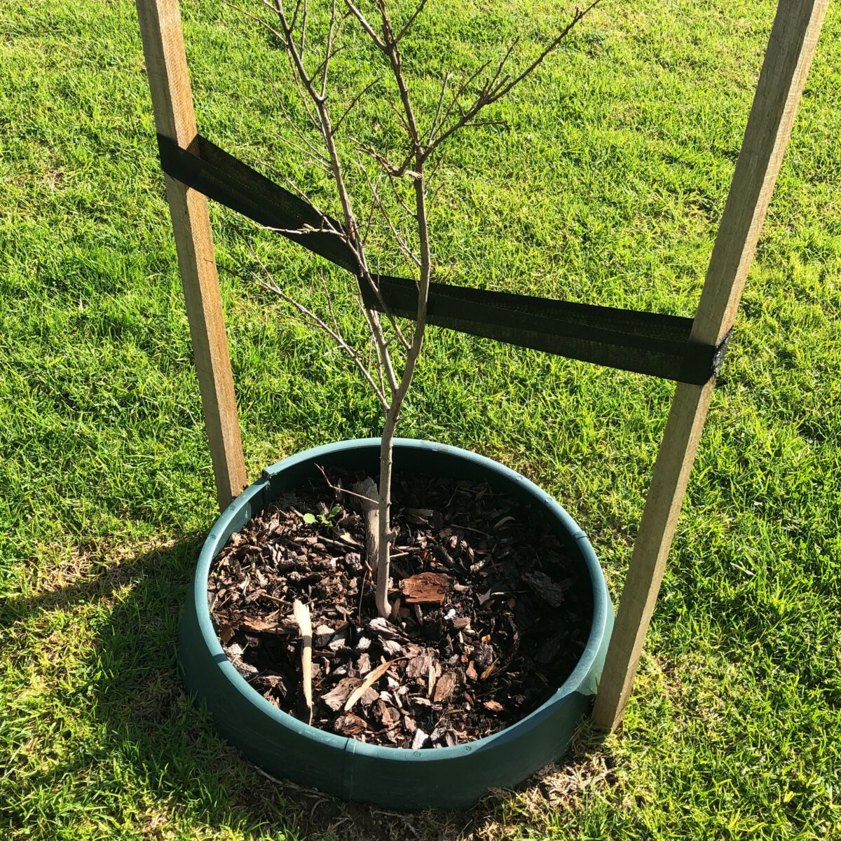 SHADE CLOTH FIXINGS Archives - J A Grigson Trading (JAG)